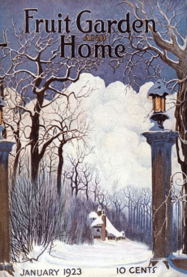 The Top 10 Magazine Covers of Winter 1923 | My Life 100 Years Ago